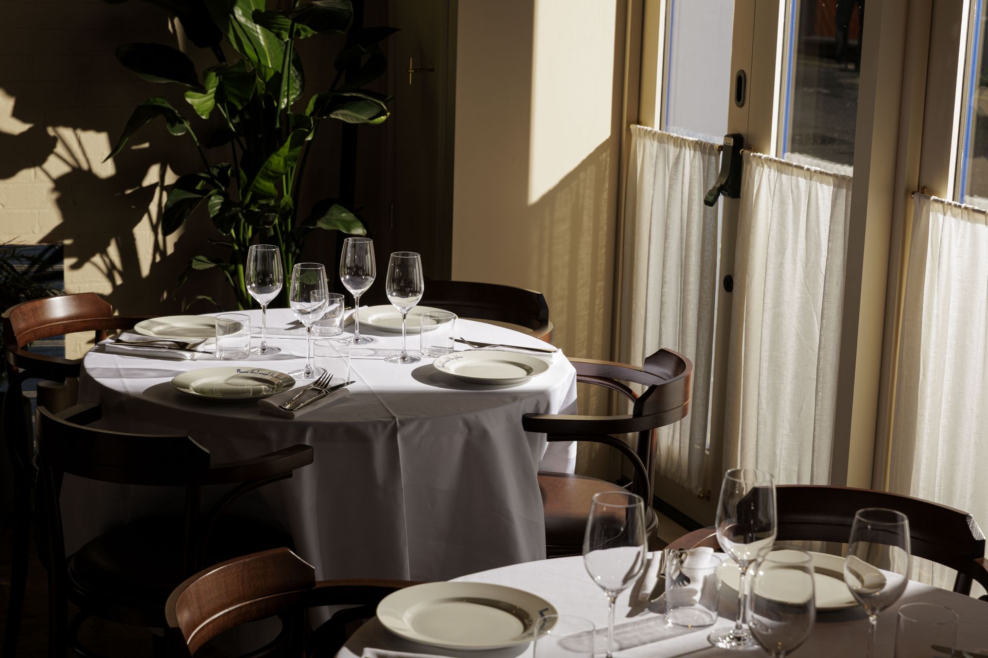 Maza restaurant review: a slice of Athens lands in Mayfair | Wallpaper*