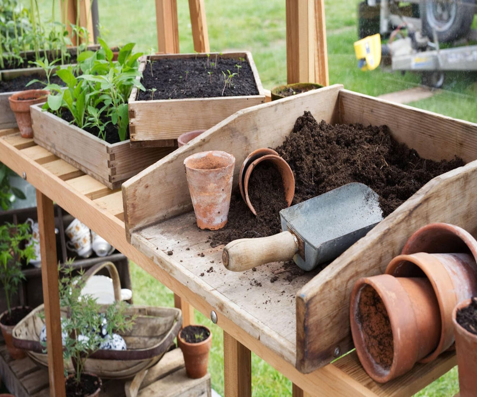 How to prepare for seed sowing: 7 game changing tips to try | Homes and ...