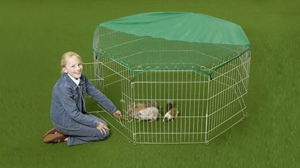 Best rabbit runs: We select the top rabbit play areas | PetsRadar