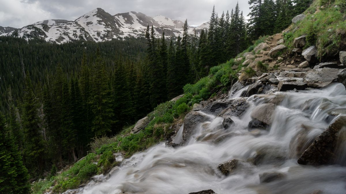 Can you drink water from a stream? Finding safe water sources in the ...
