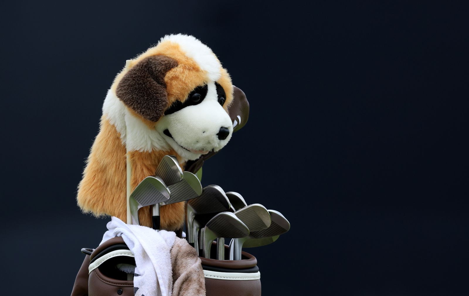 Why Does Rory McIlroy Have A Dog Headcover For His Driver? | Golf Monthly