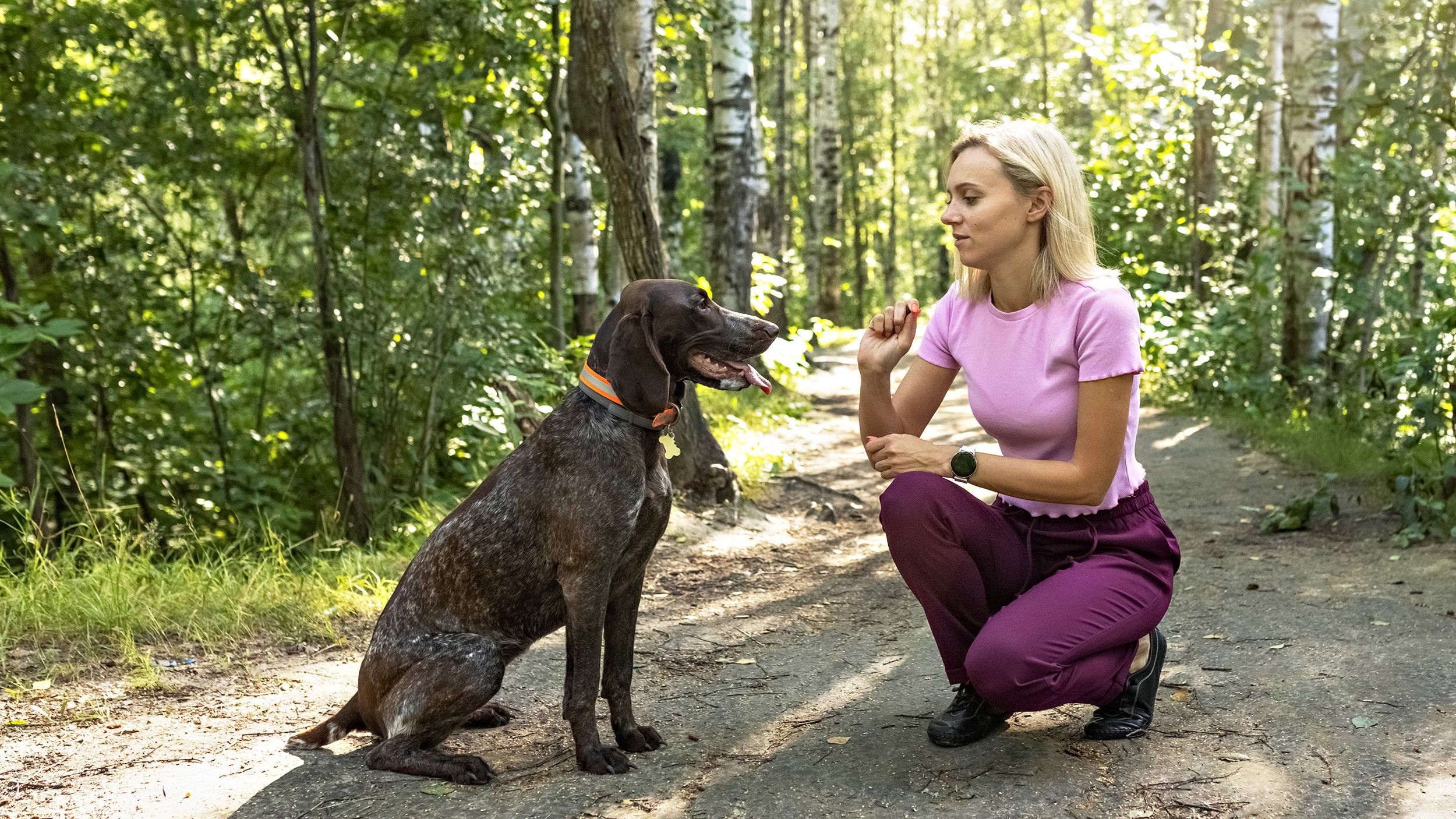 How to get the most out of your dog trainer — five tips from a ...