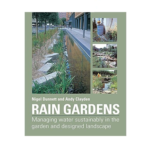 What is a rain garden? The solution to a waterlogged yard, explained ...