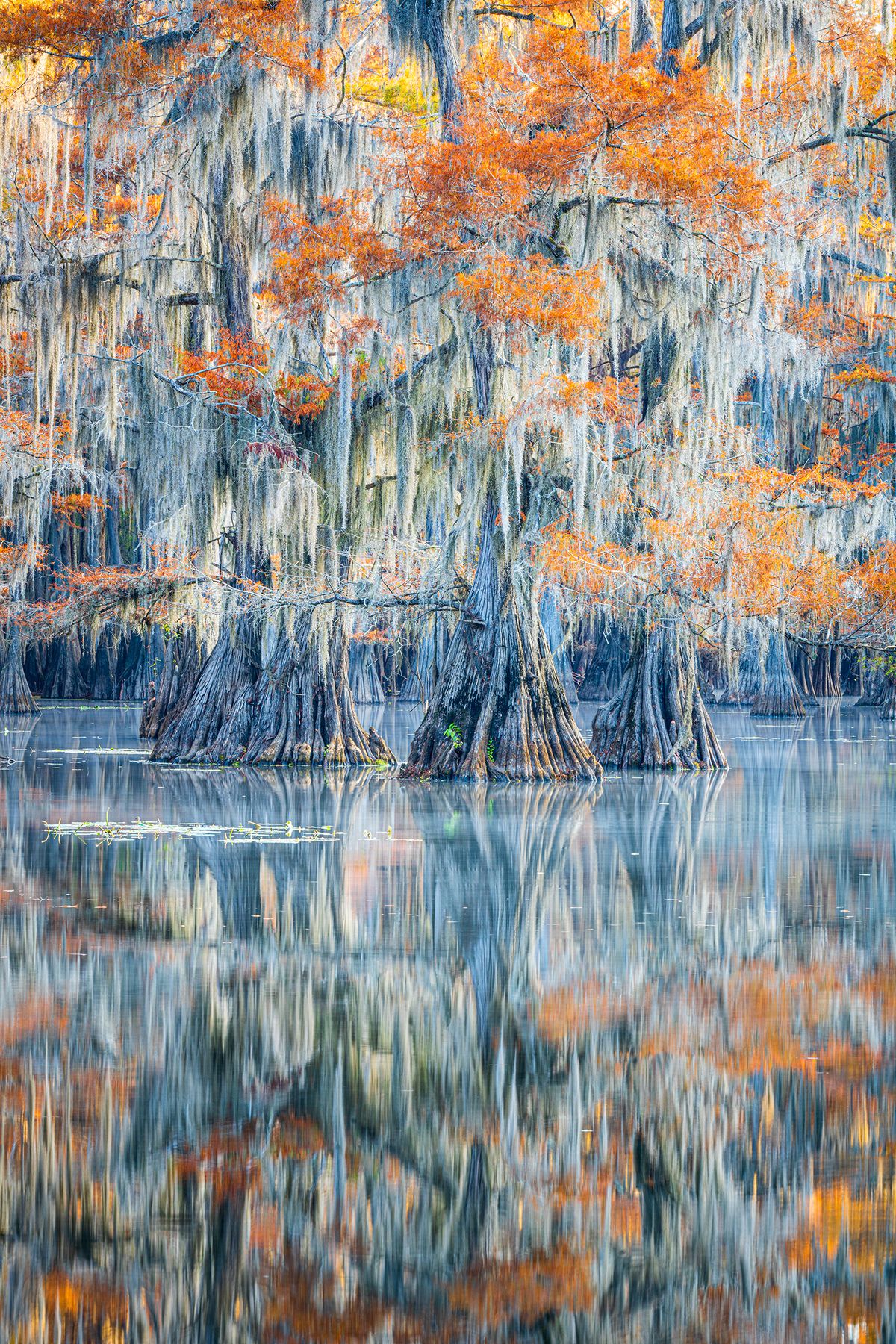 I photographed this lioness gorged on a kill… Every now and then, she ...