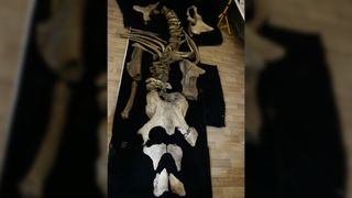 Russian expedition finds evidence of northernmost Stone Age hunters ...