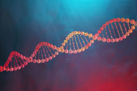 7 Theories on the Origin of Life | Live Science