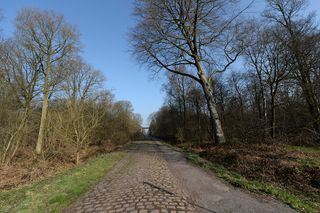 Gallery: Teams recon the cobbles of Paris-Roubaix | Cyclingnews