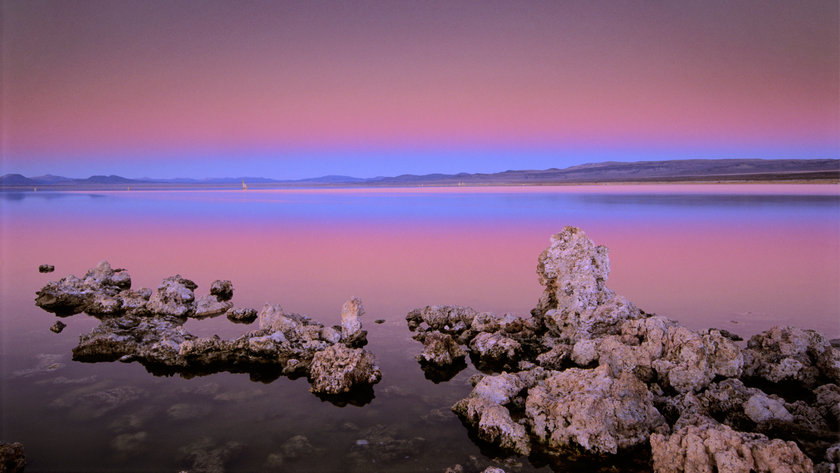 What are the Ingredients of Life? | Live Science