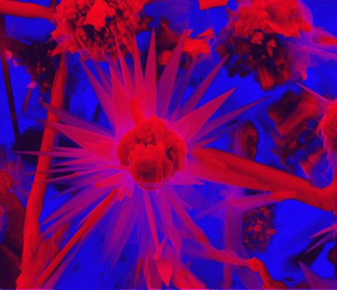 Image Gallery: Science Meets Art | Live Science