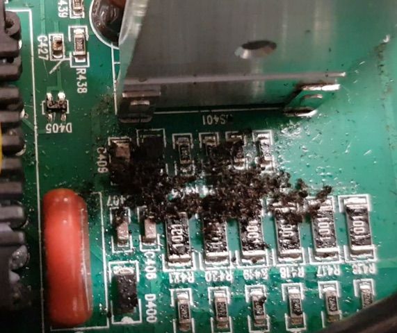 Ant Attack! Insects Swarm Australian Ring-Hunting Telescope | Space