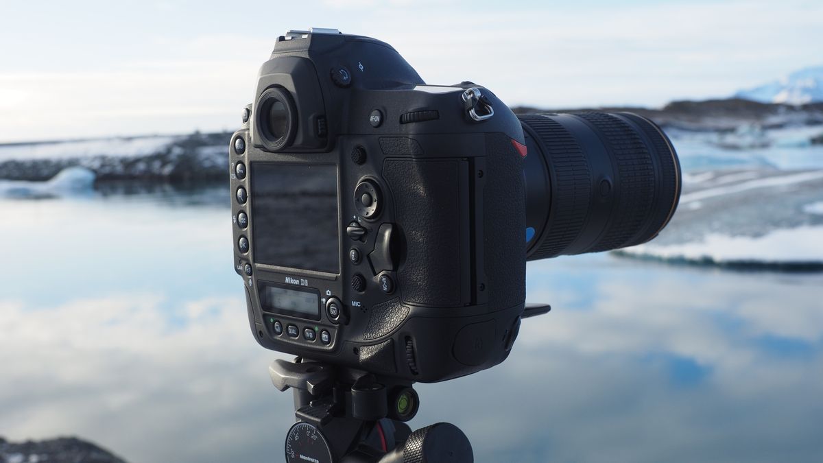 The best full frame DSLR in 2025 | Digital Camera World