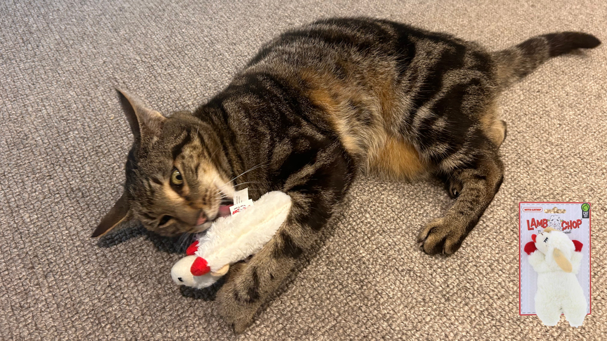 Best catnip toys we tried and tested – and are worth it! | PetsRadar