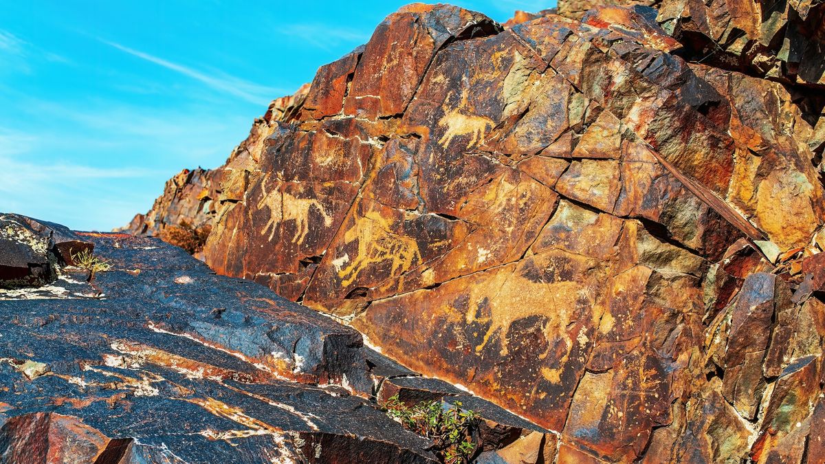 3,500-year-old rock art of wild sheep and double-humped camels revealed ...