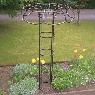 Wisteria umbrellas are this spring's breakout garden trend | Ideal Home