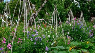 How to use the tomato string method: an expert guide | Homes and Gardens