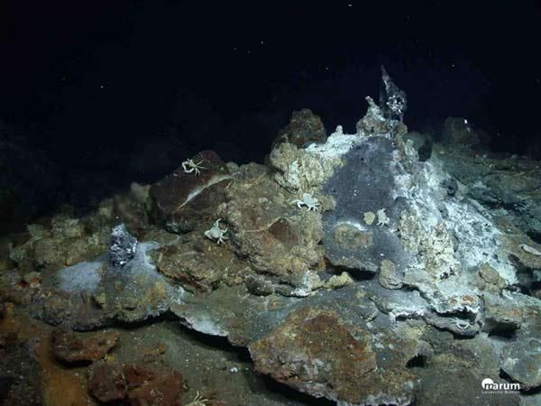 New Deep-Sea Hydrothermal Vents Discovered in Middle of Atlantic | Live ...