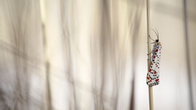 Sunbursts and starbursts: shoot stunning sun flare photography ...