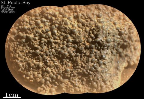 Strange sphere-studded rock on Mars found by NASA's Perseverance rover ...