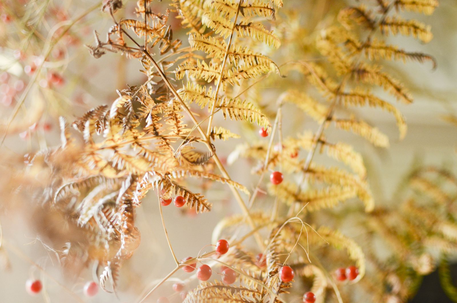 How to create a foliage wall for a stunning fall display | Homes and ...