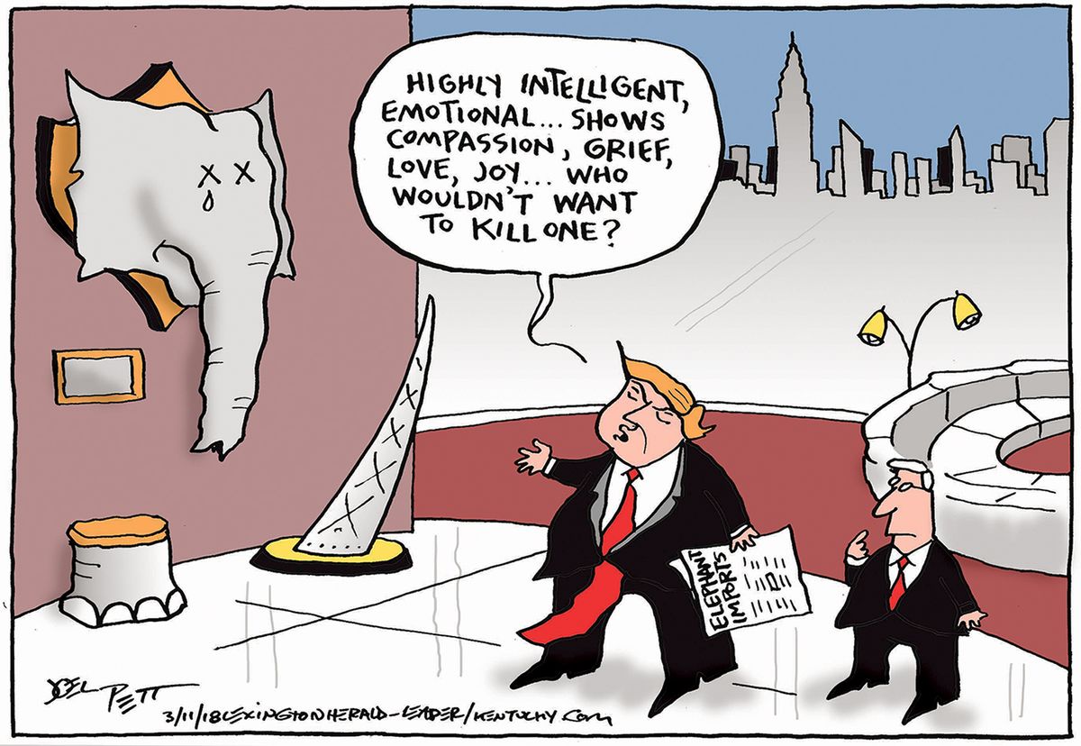 Political cartoon U.S. Trump elephant protections | The Week