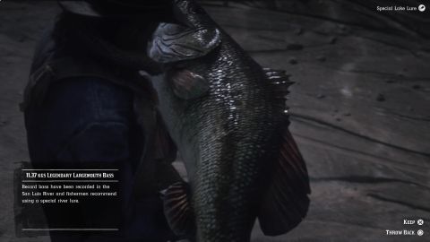 Red Dead Redemption 2 Legendary Fish locations | GamesRadar+