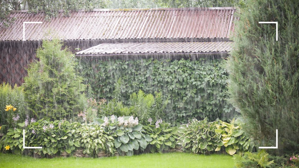 What is rainscaping and how can it benefit your garden? | Woman & Home