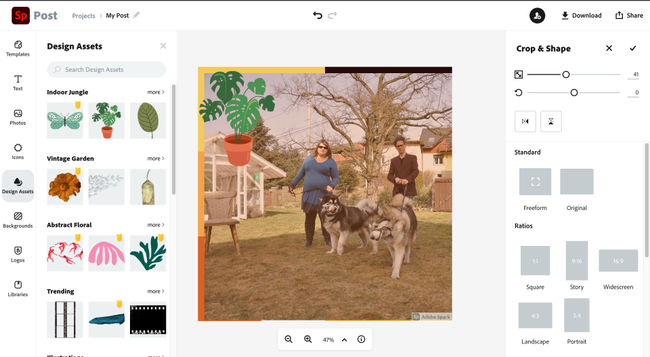 The best online photo editors 2022: edit photos in your web browser ...