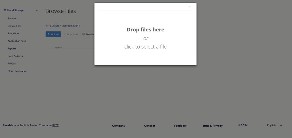 Backblaze cloud backup review: Pros, cons, features, and pricing ...