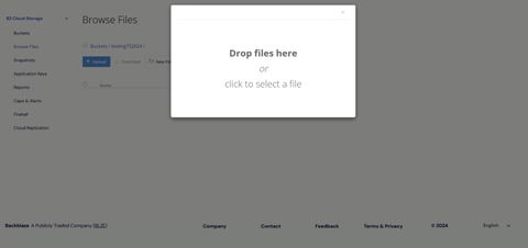 Backblaze cloud backup review: Pros, cons, features, and pricing ...