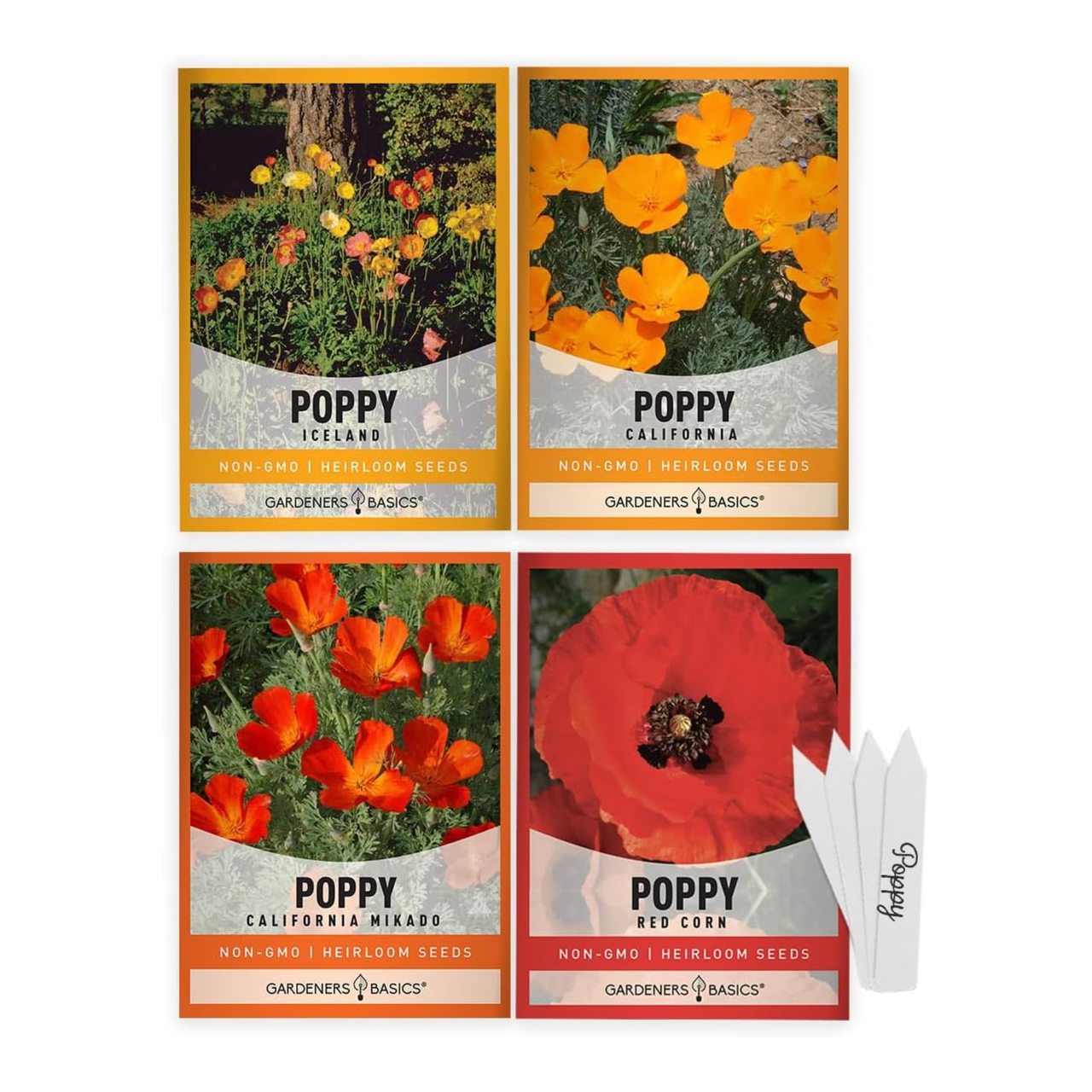6 Self-Seeding Plants You Should be Growing in Your Backyard for a ...