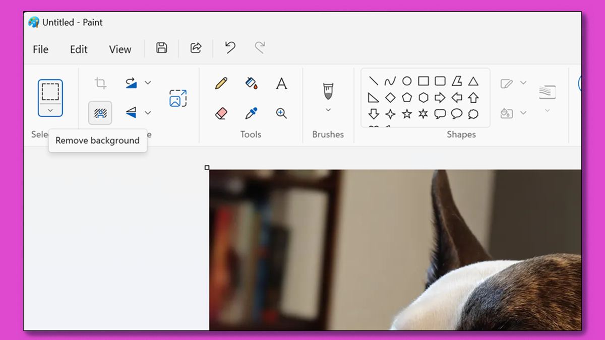Best Windows 11 AI features that work on any computer | TechRadar