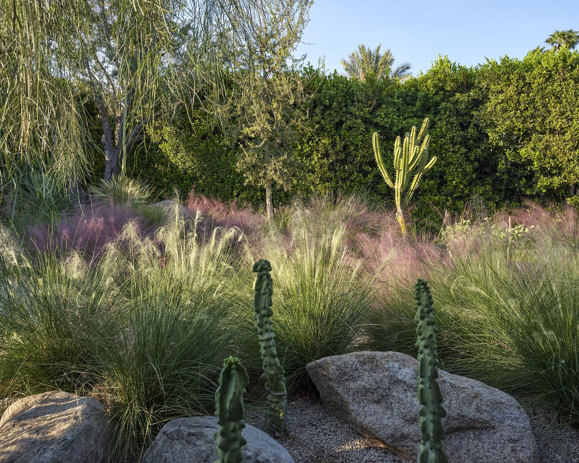 Desert landscaping ideas: 8 ways to create a verdant oasis | Gardeningetc