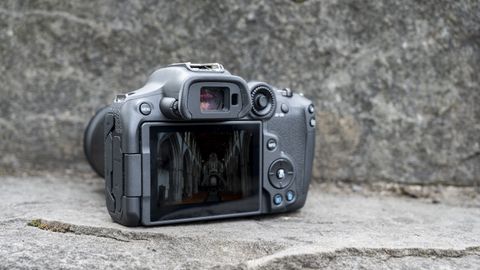 Canon EOS R7 review: the sweet spot for hobbyist shooters | TechRadar