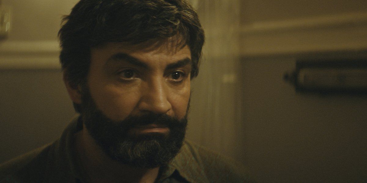 Uncle Frank Cast: Where You've Seen The Amazon Prime Movie Stars Before ...