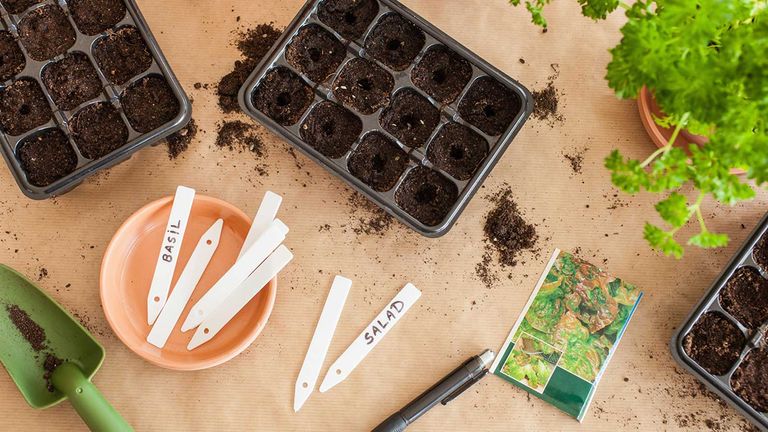 The best soil to start seeds: experts reveal | Homes and Gardens