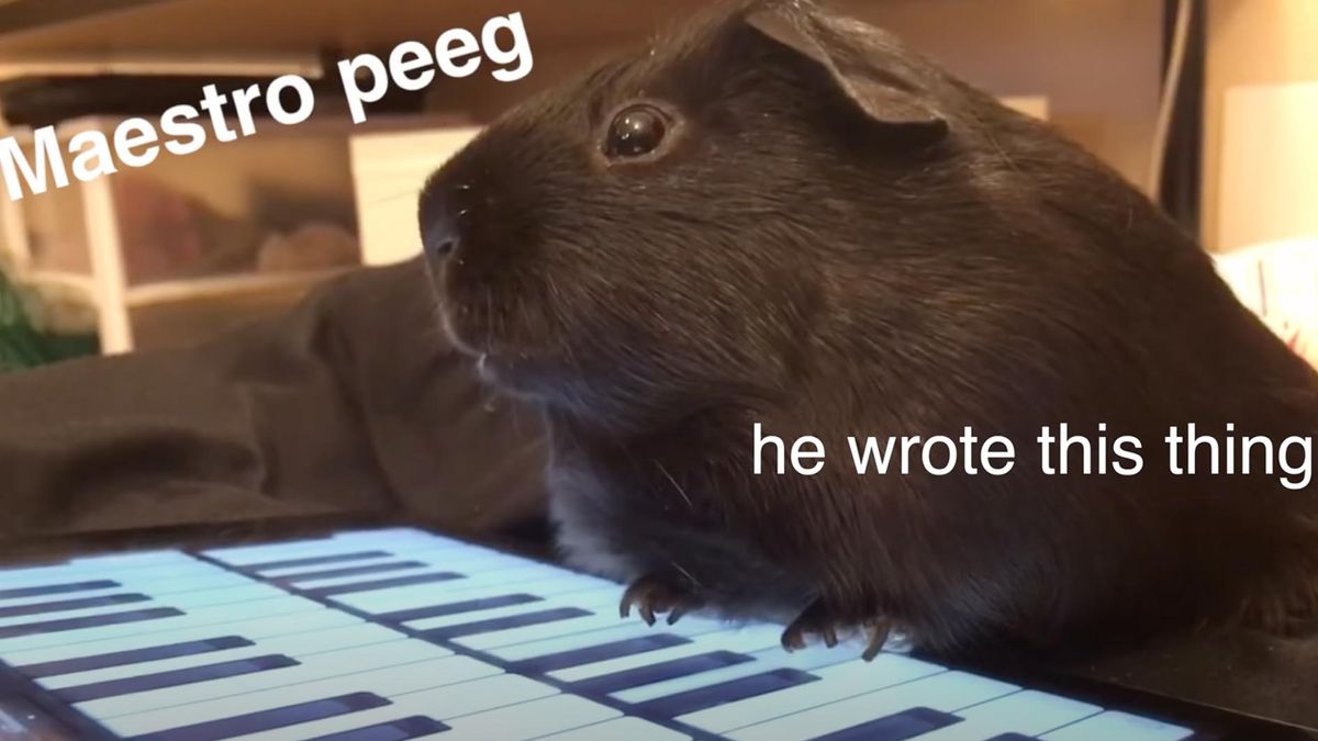 Watch Guitarist Kayla Kent Perform A Track That Her Musically Gifted ...