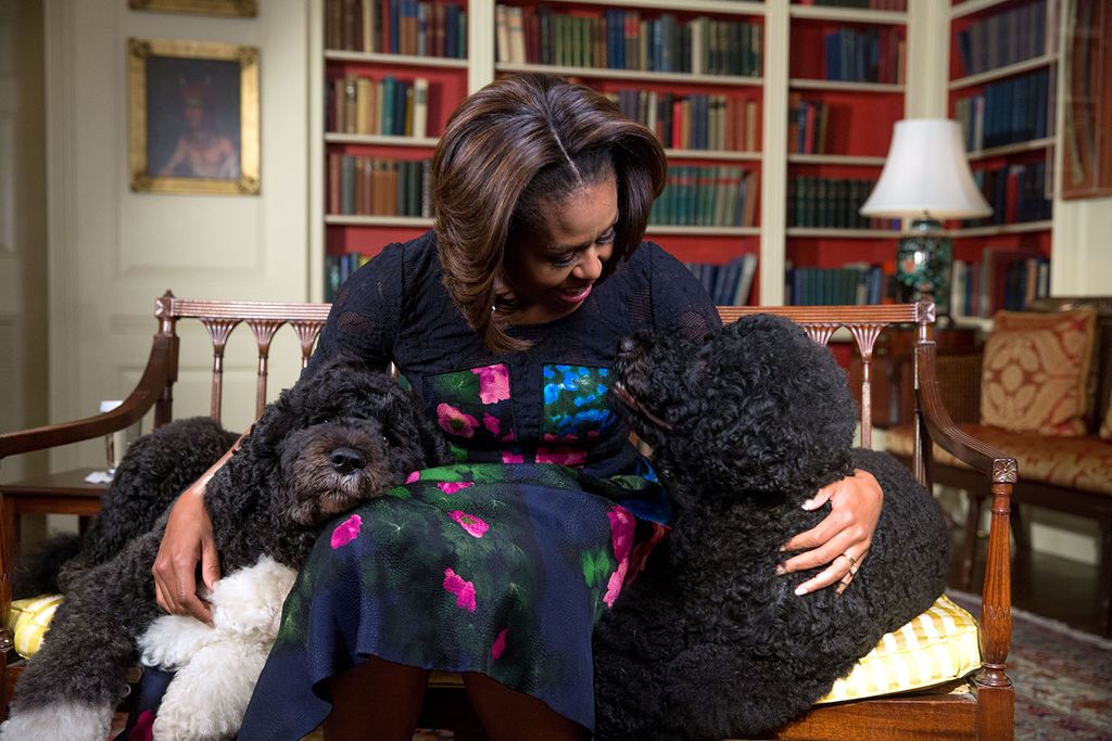 Pampered pets: The cushy lives of Sunny and Bo Obama | The Week