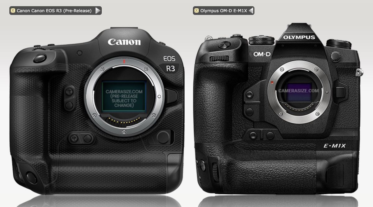 Canon EOS R3 size comparison: DWARFS the R5, smaller than Nikon and ...