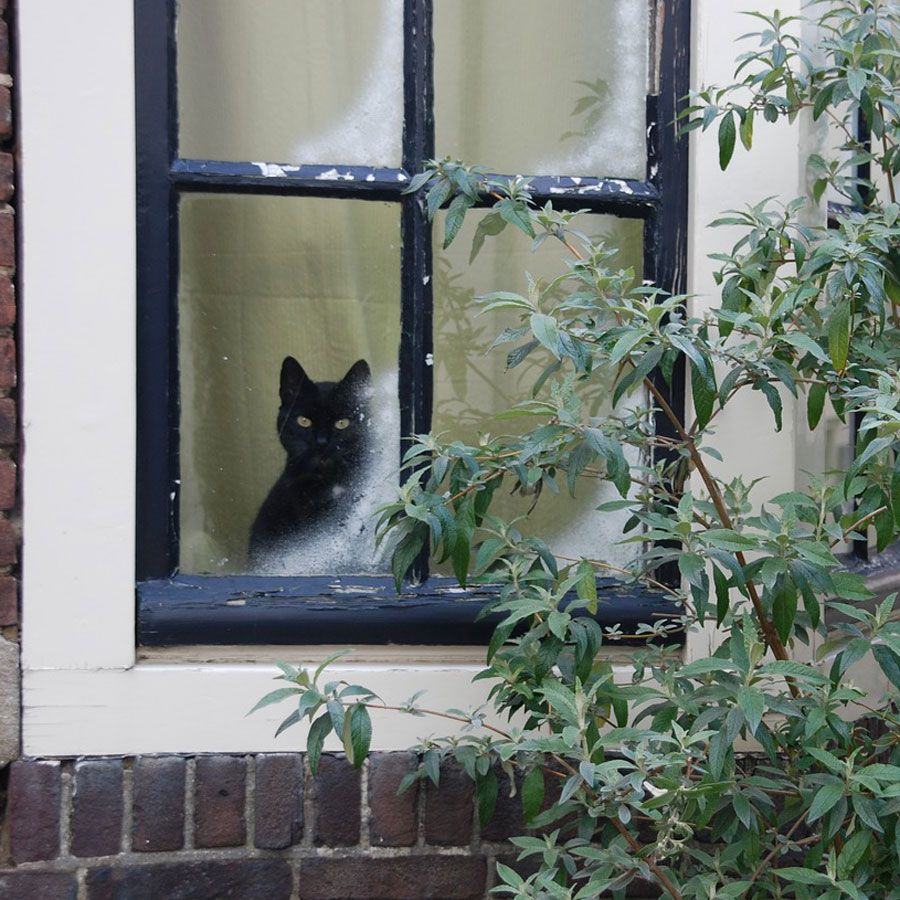 How to check for humidity in the house | Ideal Home