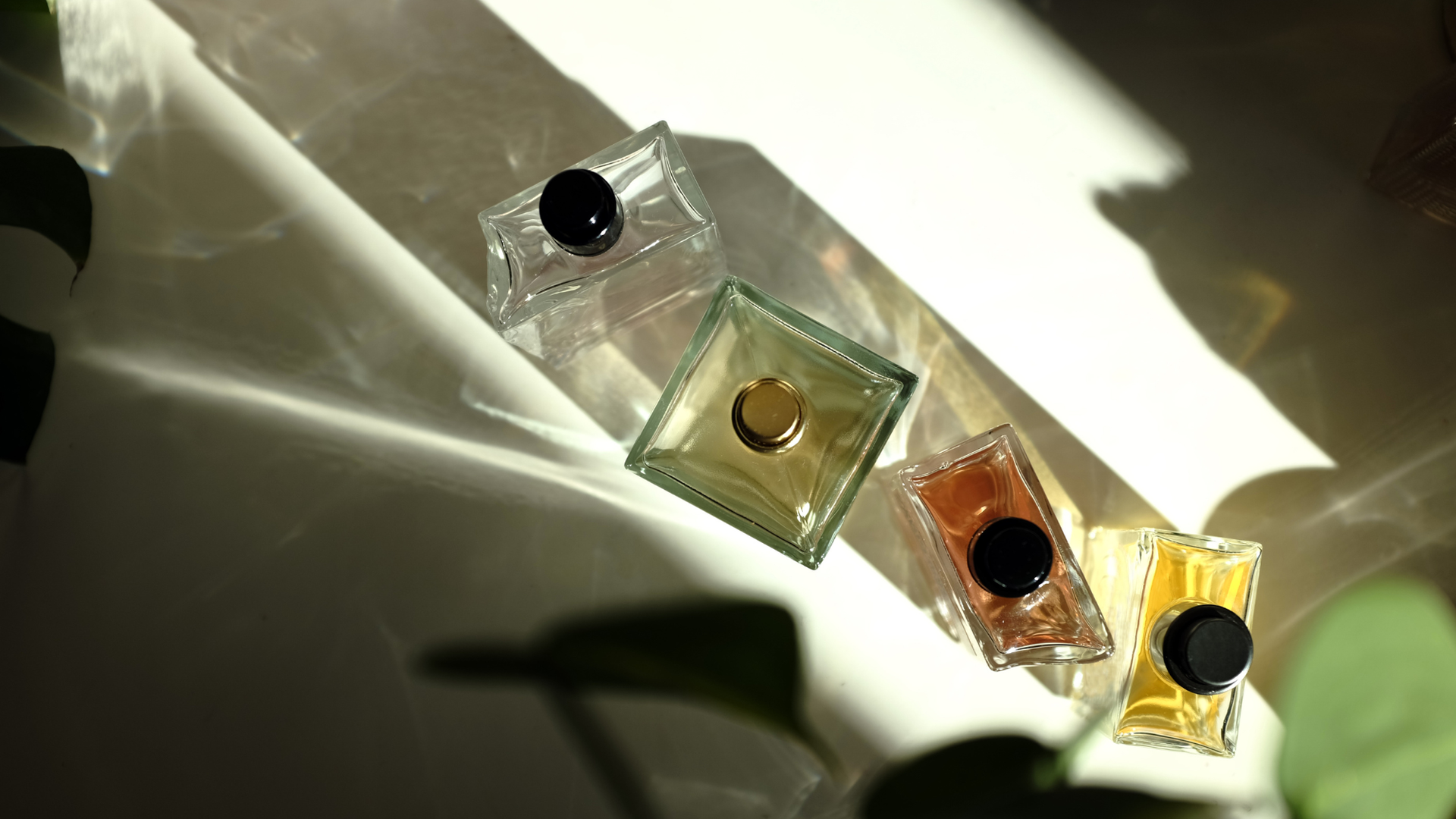 These Are The Best Modern-Day Chypre Scents | Marie Claire UK