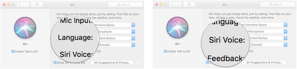 How to use Siri on the Mac | iMore