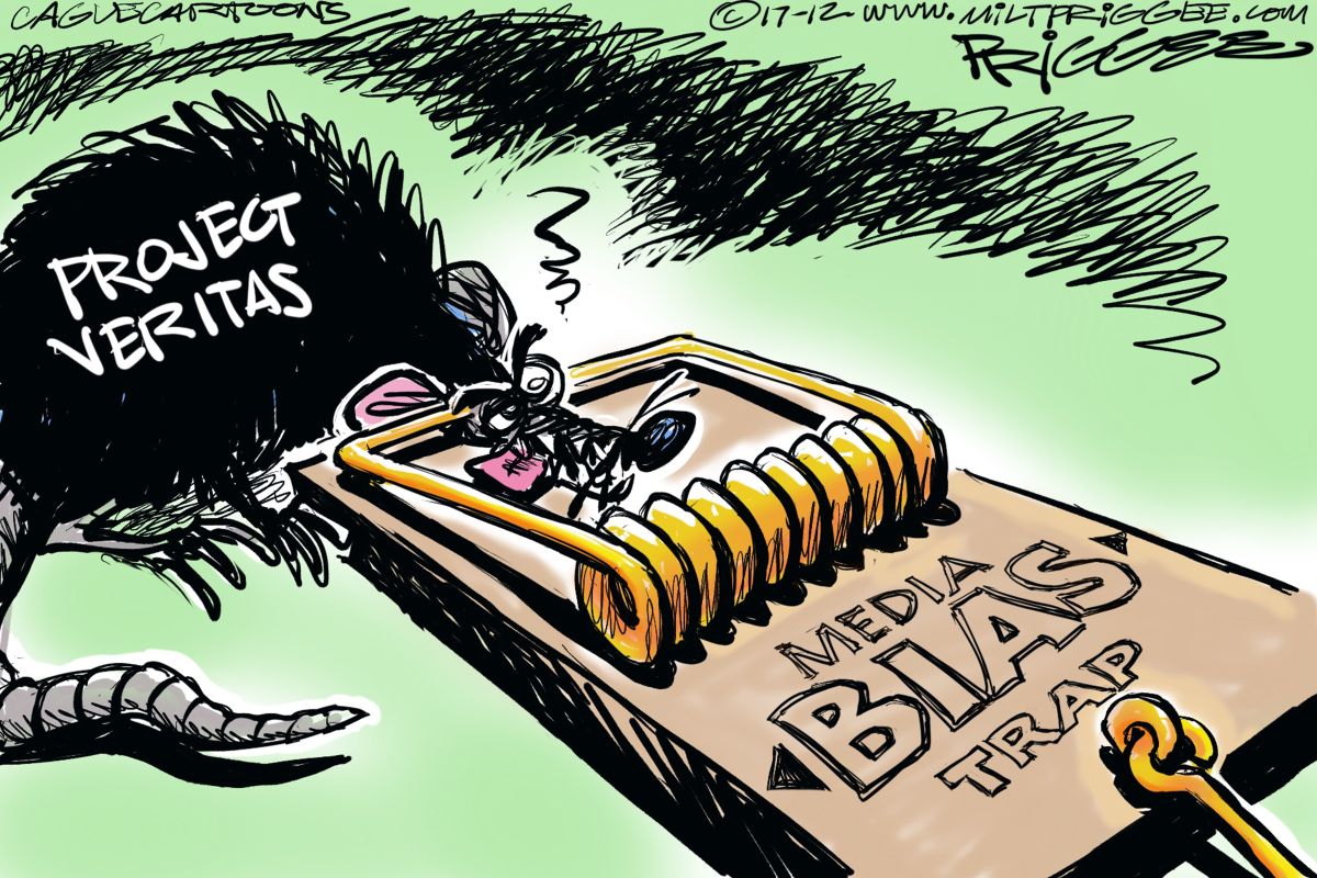 Political cartoon U.S. media bias project veritas fake news | The Week
