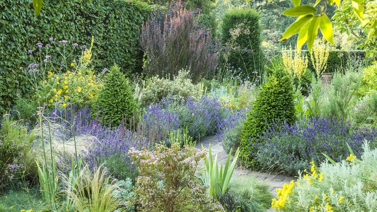 How to plan a dry garden: ideas for plants and landscaping | Homes and ...