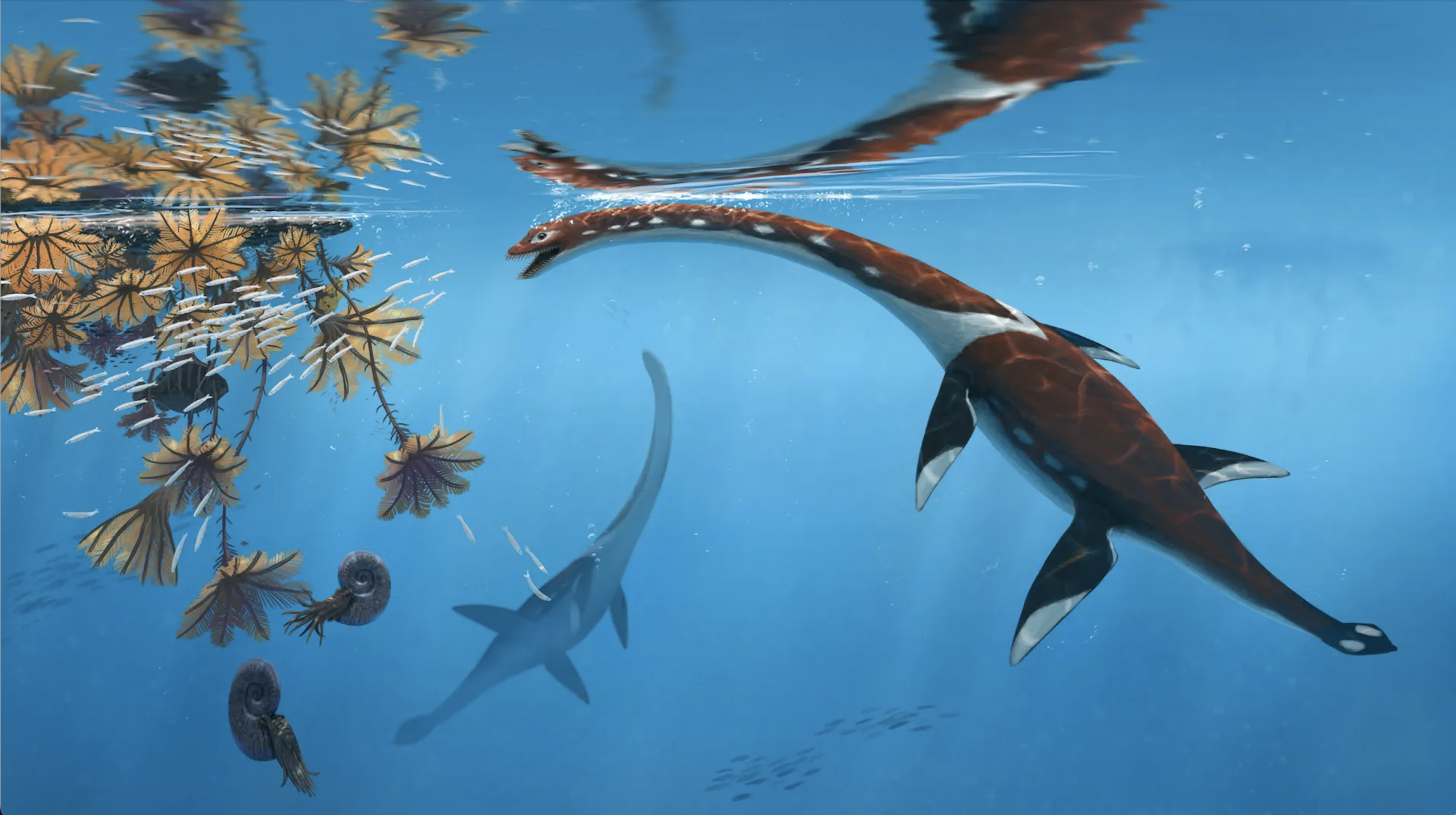 'Most remarkable' fossil of Jurassic sea monster from Germany is ...