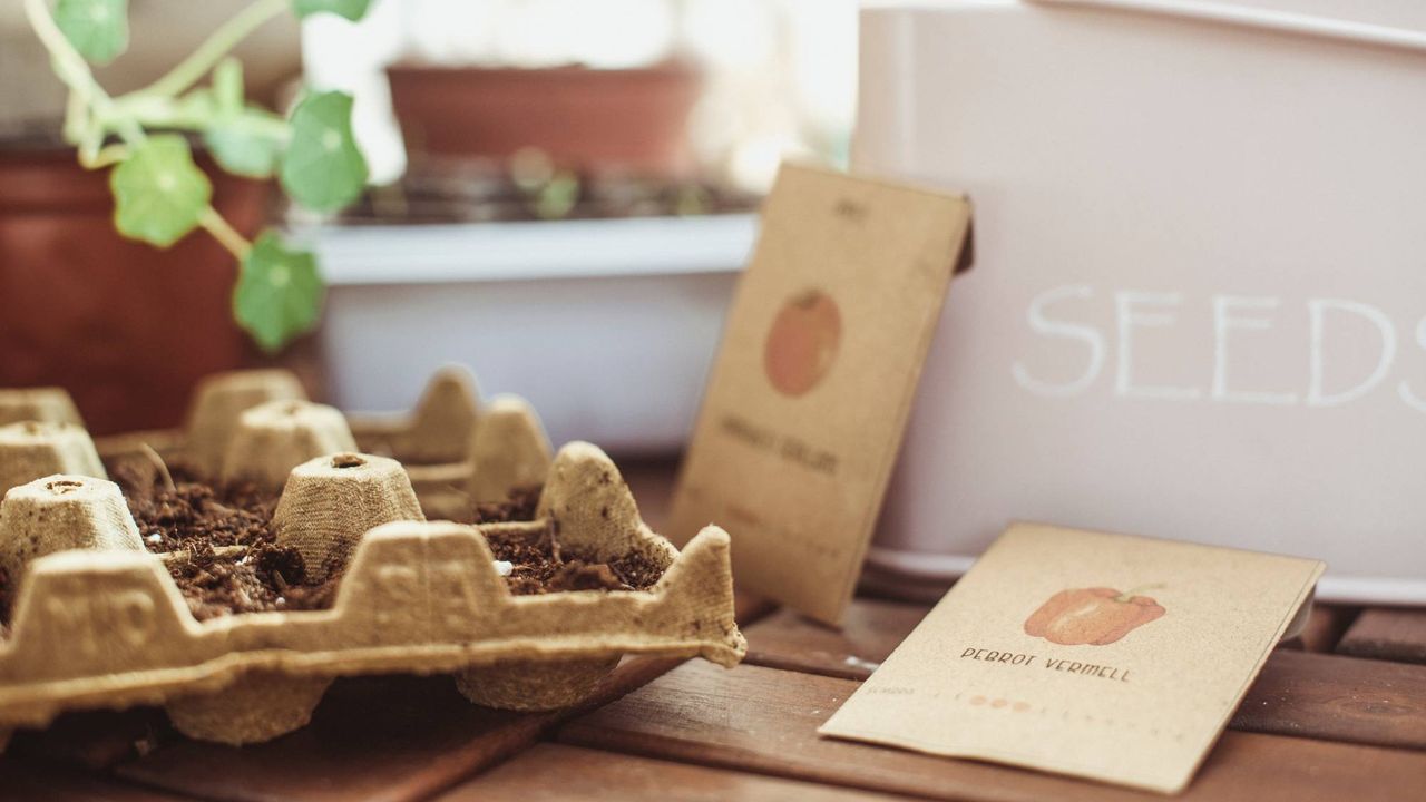 Buying Seeds? Avoid These 3 Common Mistakes. | Gardening Know How