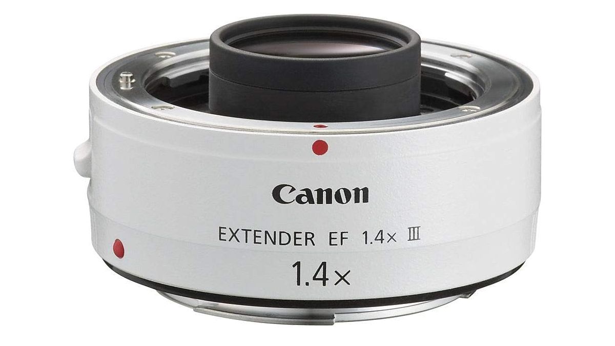 Best teleconverters in 2024: how they work, what to look for | Digital ...