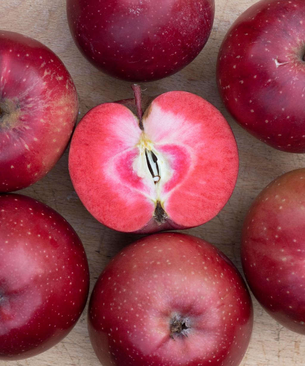 The red flesh apple trend will add mystery to your garden | Gardeningetc