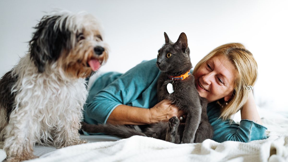 32 ways having a pet changes your life (and we know it!) | PetsRadar
