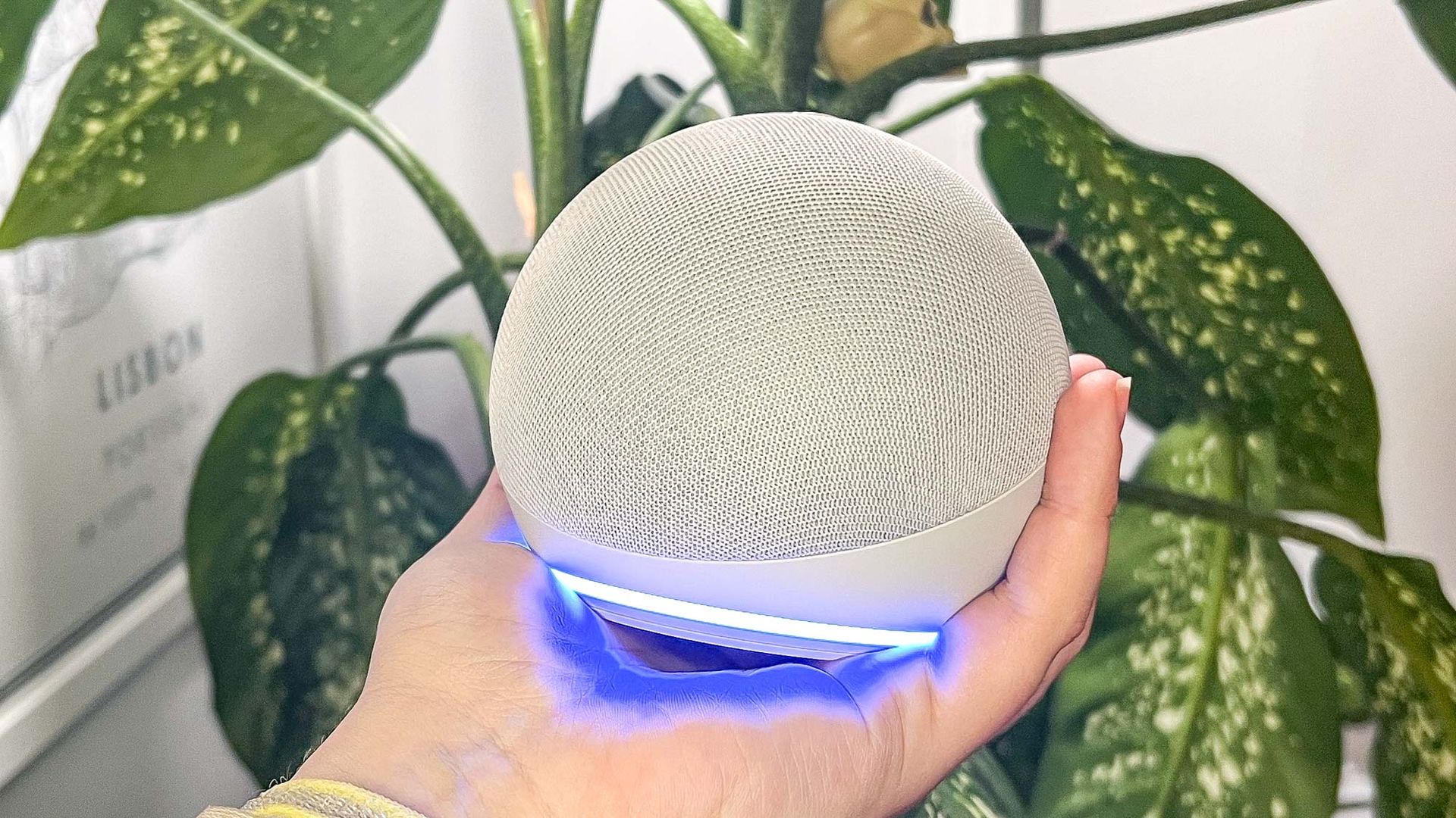 How to delete an Alexa profile | Tom's Guide