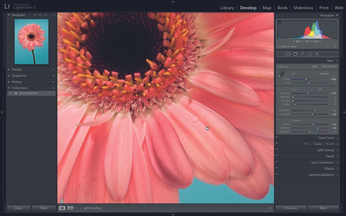 How to sharpen images like a pro using Lightroom | Digital Camera World